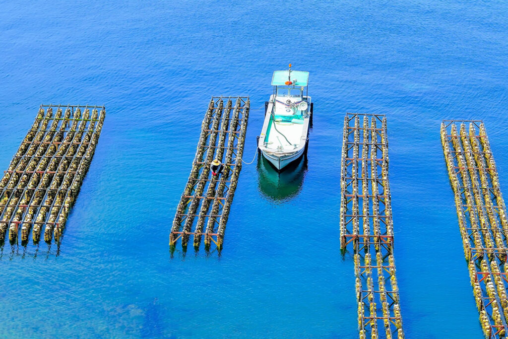 NTTドコモが5G通信＋水中ドローンで漁場の遠隔監視 | SUGITEC｜建設業界の最新技術紹介